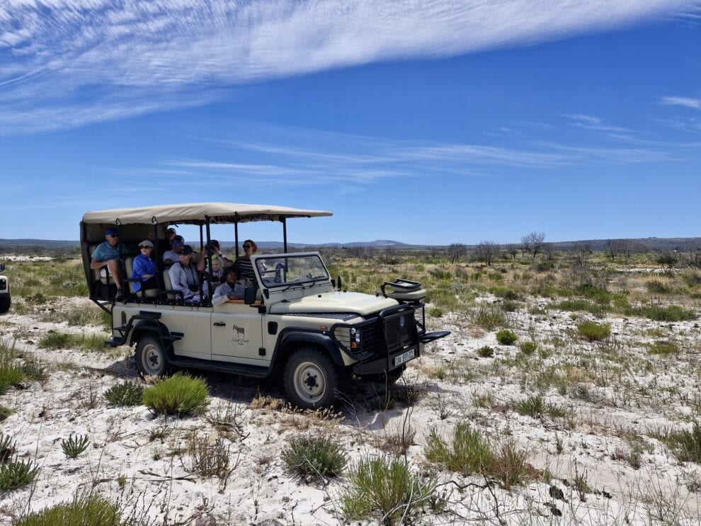 West Coast Safari | Yzerfontein | South Africa